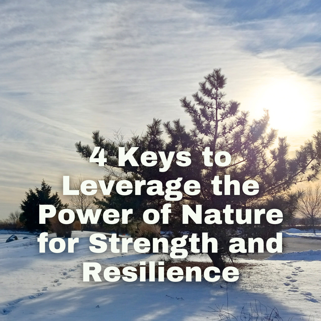 4 Keys to Leverage the Power of Nature for Personal Growth – Anna ...