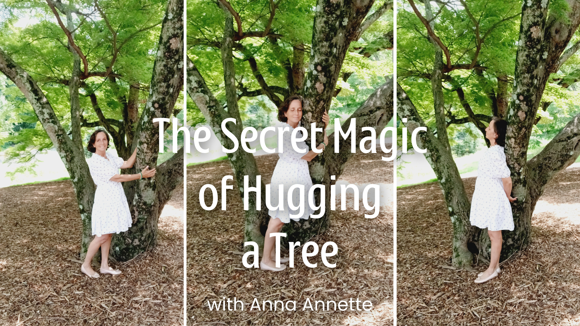 The Secret Magic of Hugging a Tree – Anna Annette / Edelweiss.Academy