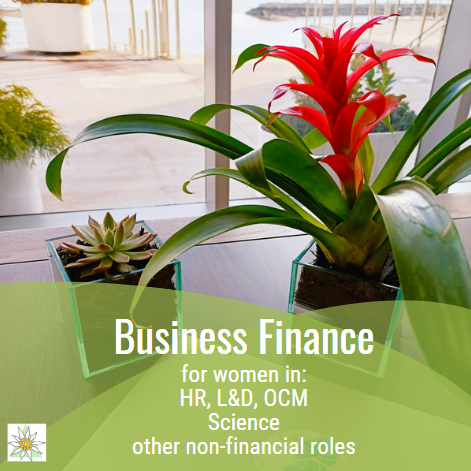 Business and Financial Acumen Programs – Anna Annette / Edelweiss.Academy