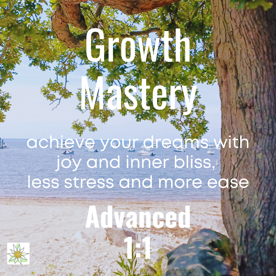 Growth Mastery. High Impact 1:1 Coaching – Anna Annette / Edelweiss.Academy
