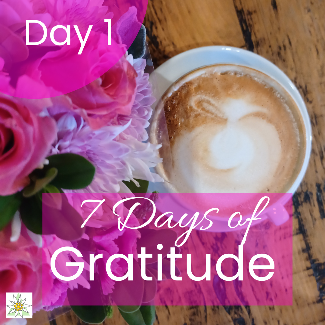7 Days of Gratitude - Recap and Next Steps – Anna Annette / Edelweiss ...