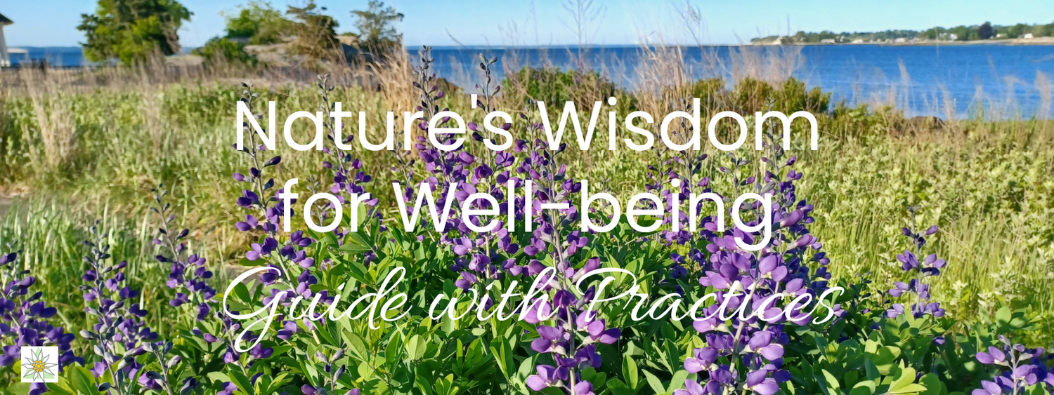 Nature's Wisdom for Well-Being Guide and Practices – Anna Annette ...